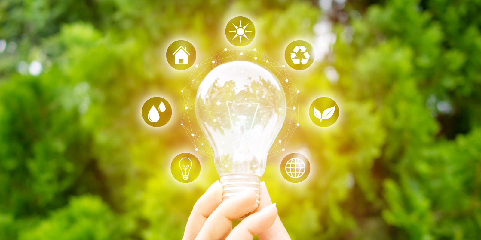 Why Energy Efficiency Is Important For Your Business