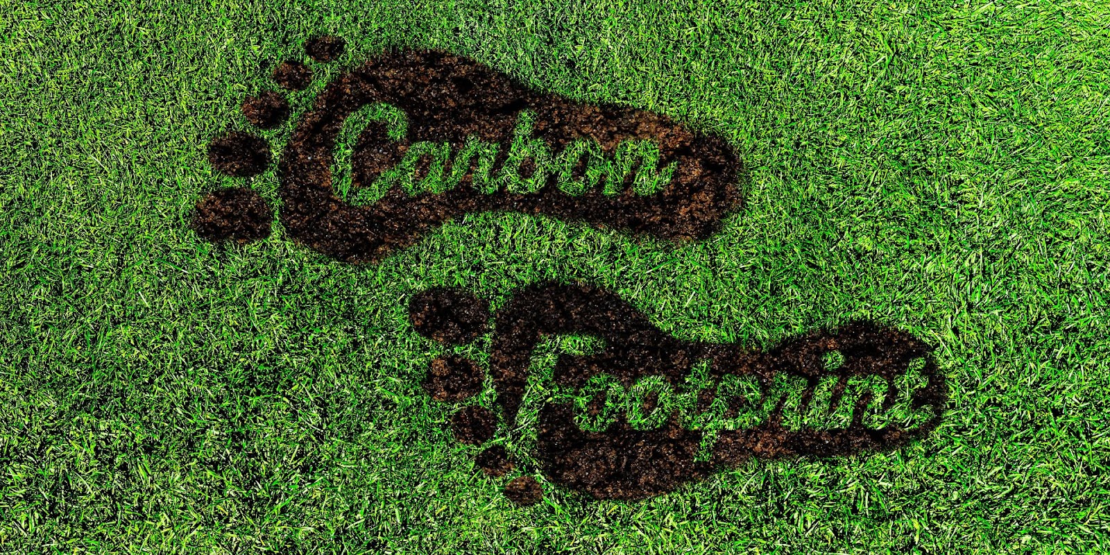 Carbon Footprint: Understanding, Calculating, And Reducing It